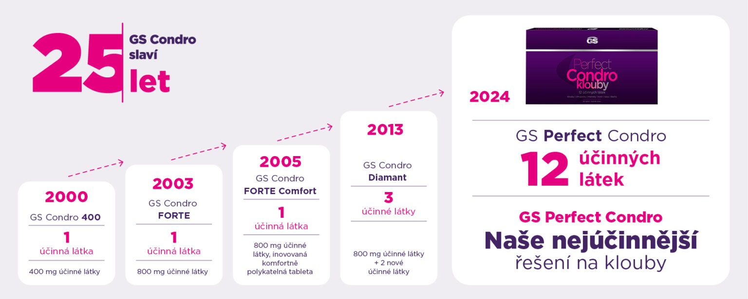 GS Perfect Condro - GS Condro